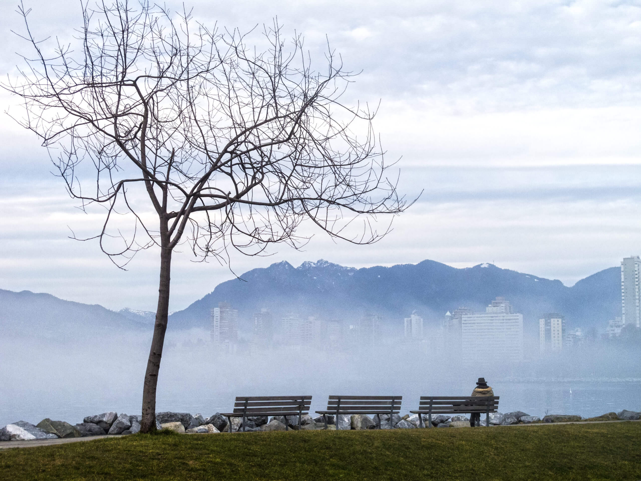 From Ruts to Oceanic Boundlessness: Psychedelics and Depression - MAPS ...