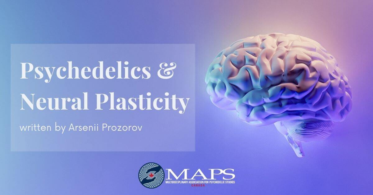 Psychedelics and Neural Plasticity - MAPS Canada